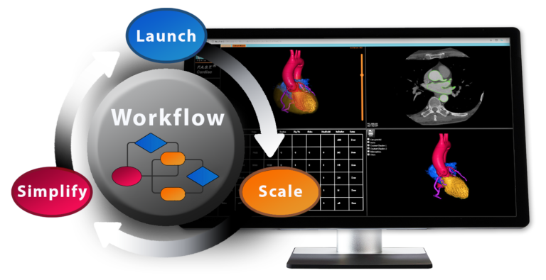 Fovia Advanced Visualization Software Platform